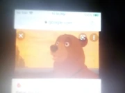 Kenai the Bear (Brother Bear) | The Parody Wiki | Fandom