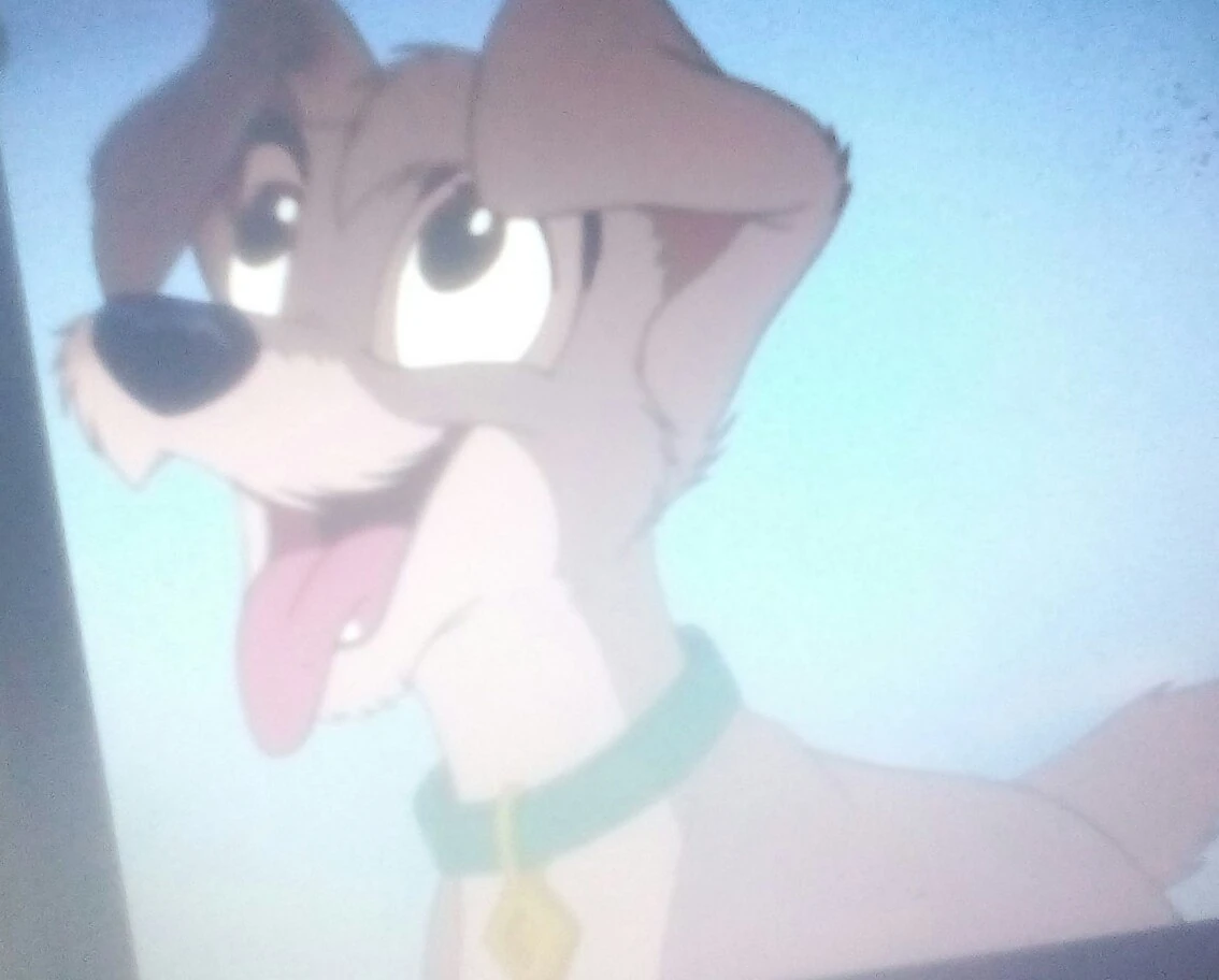 Scamp | The Parody Wiki | Fandom