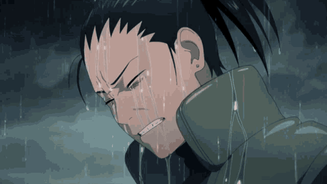 Shikamaru Crying | The Parody Wiki | Fandom