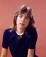 Keith Partridge | The Partridge Family Wikia | Fandom