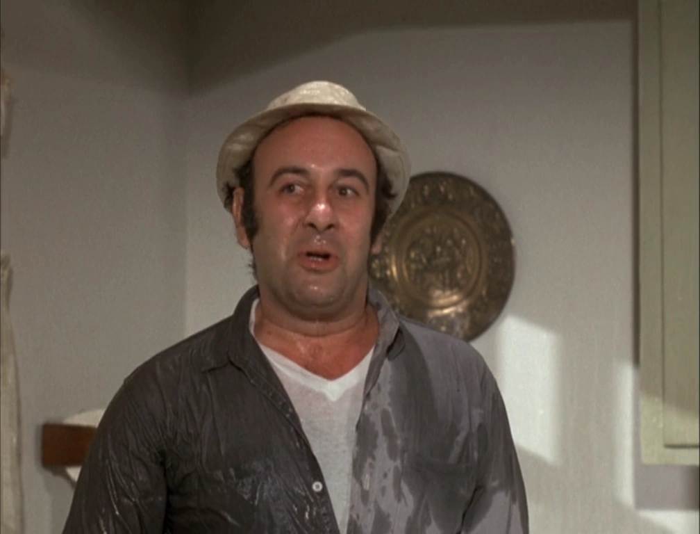 Mr. Jenkins | The Partridge Family Wikia | Fandom