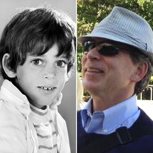 Jeremy Gelbwaks | The Partridge Family Wikia | Fandom