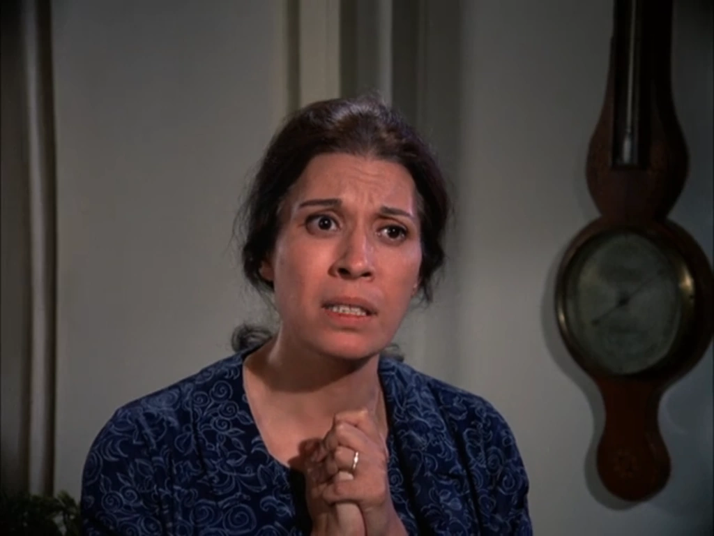 Mrs. Kornegge | The Partridge Family Wikia | Fandom