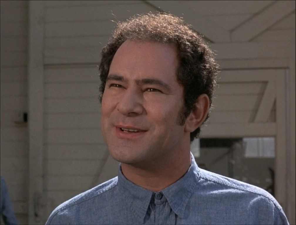 Hank Buford | The Partridge Family Wikia | Fandom