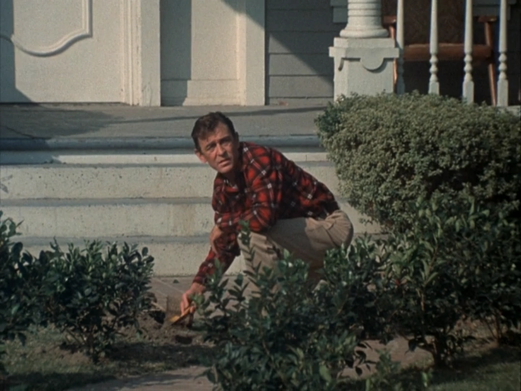 Mr. Newton | The Partridge Family Wikia | Fandom