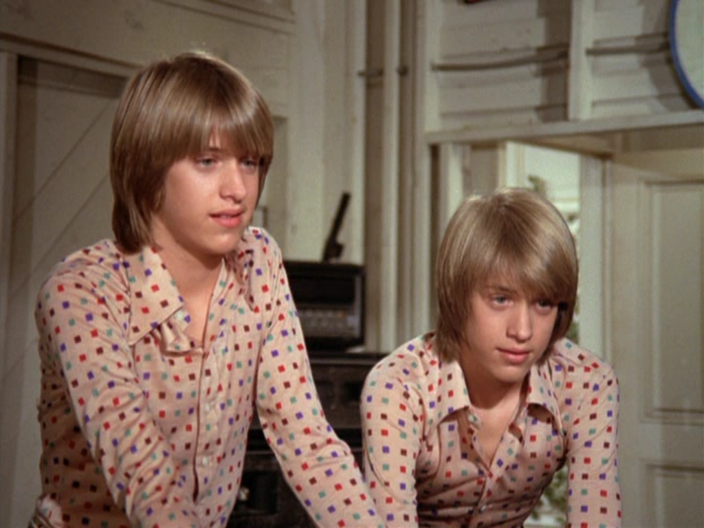 Andy & David | The Partridge Family Wikia | Fandom