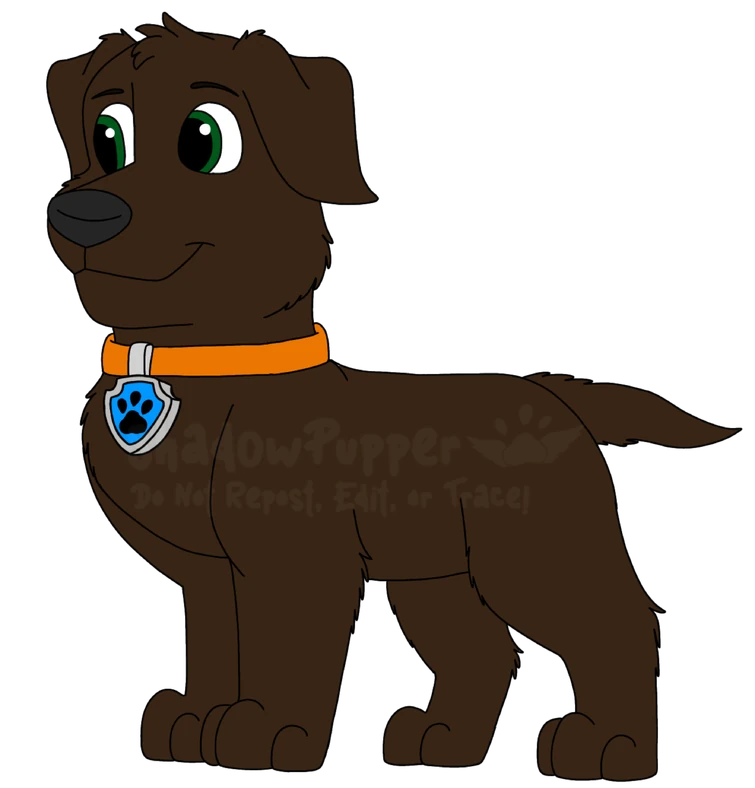 Terrific Two: Xavier and Xaiden | The PAW Patrol Fanverse Wiki | Fandom