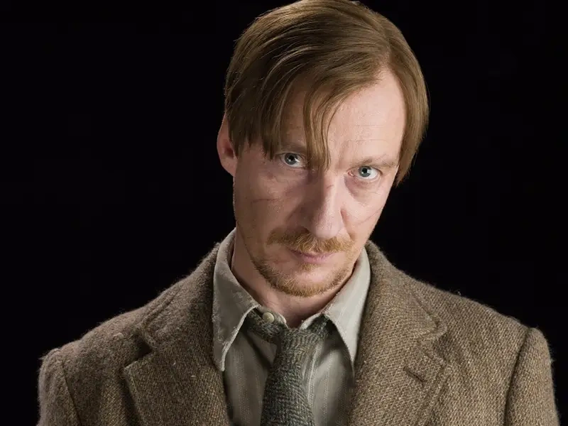 Remus Lupin | The Peter Pan and The Darling Children Chronicles Wiki ...