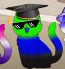 Petercat 6 | The Petercats Wiki | Fandom