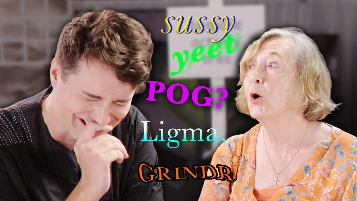 Dan's Grandma Explains the Internet | The Phandom Wiki | Fandom
