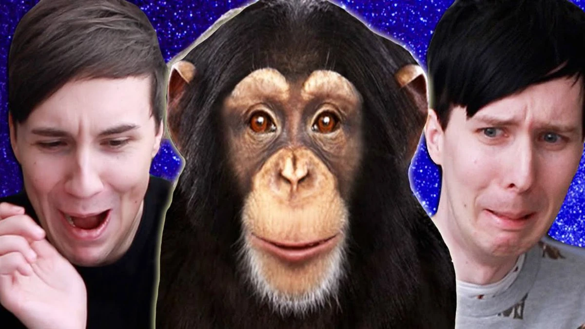 Dan and Phil play CHIMBOT! | The Phandom Wiki | Fandom