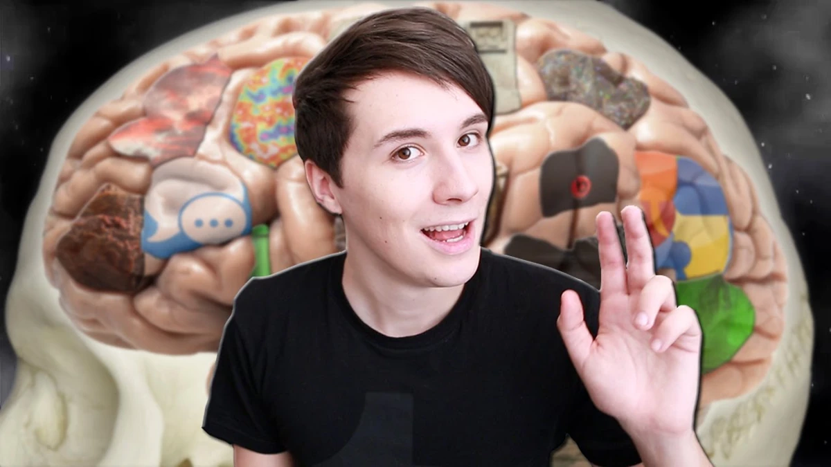 A Tour of Dan's Brain | The Phandom Wiki | Fandom