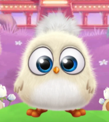 Han | The Pigora Wiki | Fandom