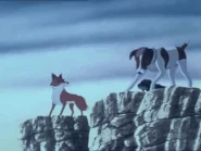 The Tod | The Plague Dogs Wiki | Fandom