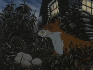 The Tod | The Plague Dogs Wiki | Fandom