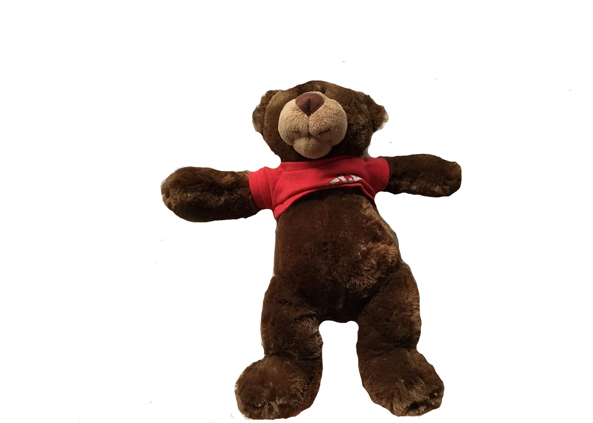 Teddy | The Plush Wiki | Fandom