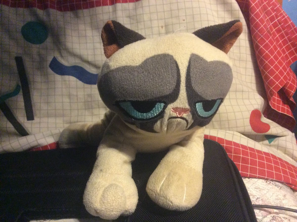 Grumpy Cat | The Plushy Show Wiki | Fandom