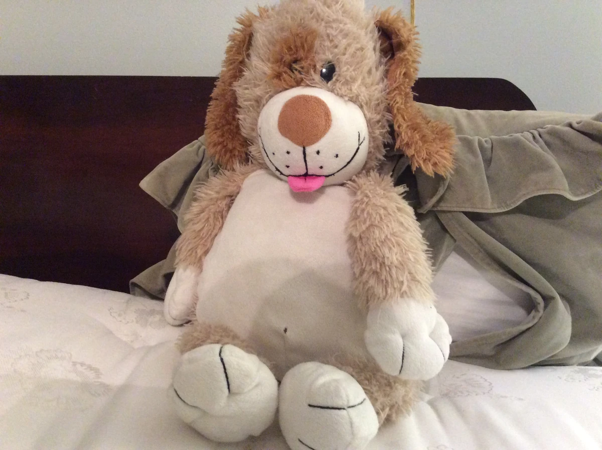 Sam | The Plushy Show Wiki | Fandom