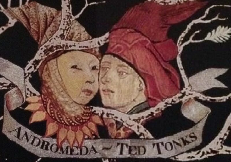 Tonks family | The Potter Family of wizarding world Wiki | Fandom