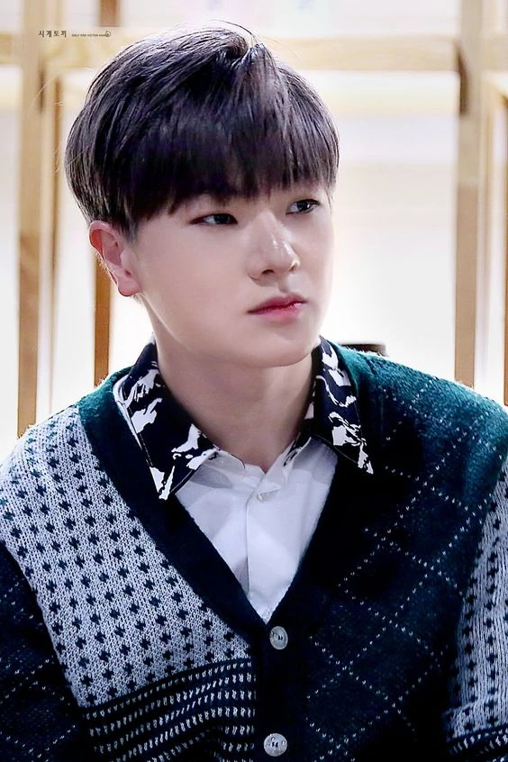 Hanse | The Potters Wiki | Fandom