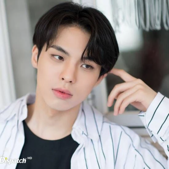 BX | The Potters Wiki | Fandom