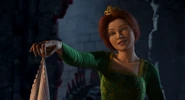 Fiona | The princess Wikia | Fandom