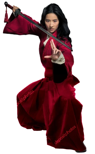 Hua Mulan | The princess Wikia | Fandom