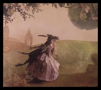 Tale of Donkey Skin | The princess Wikia | Fandom