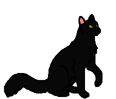 Shadowstar | The Prophecy Wikia | Fandom