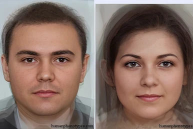 Alpine Race Characteristics