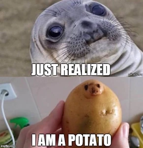 Full Potato Memes