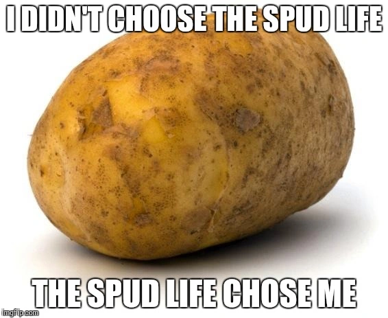 Potato Memes | The Random Potato Club Wiki | Fandom