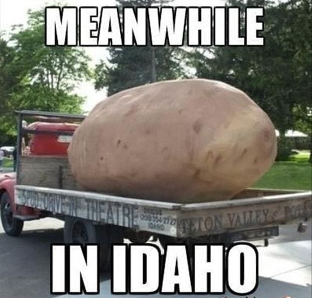 Funny Potato Memes