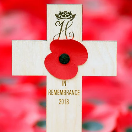 A Call To Remembrance | The RDW Multiverse Wiki | Fandom