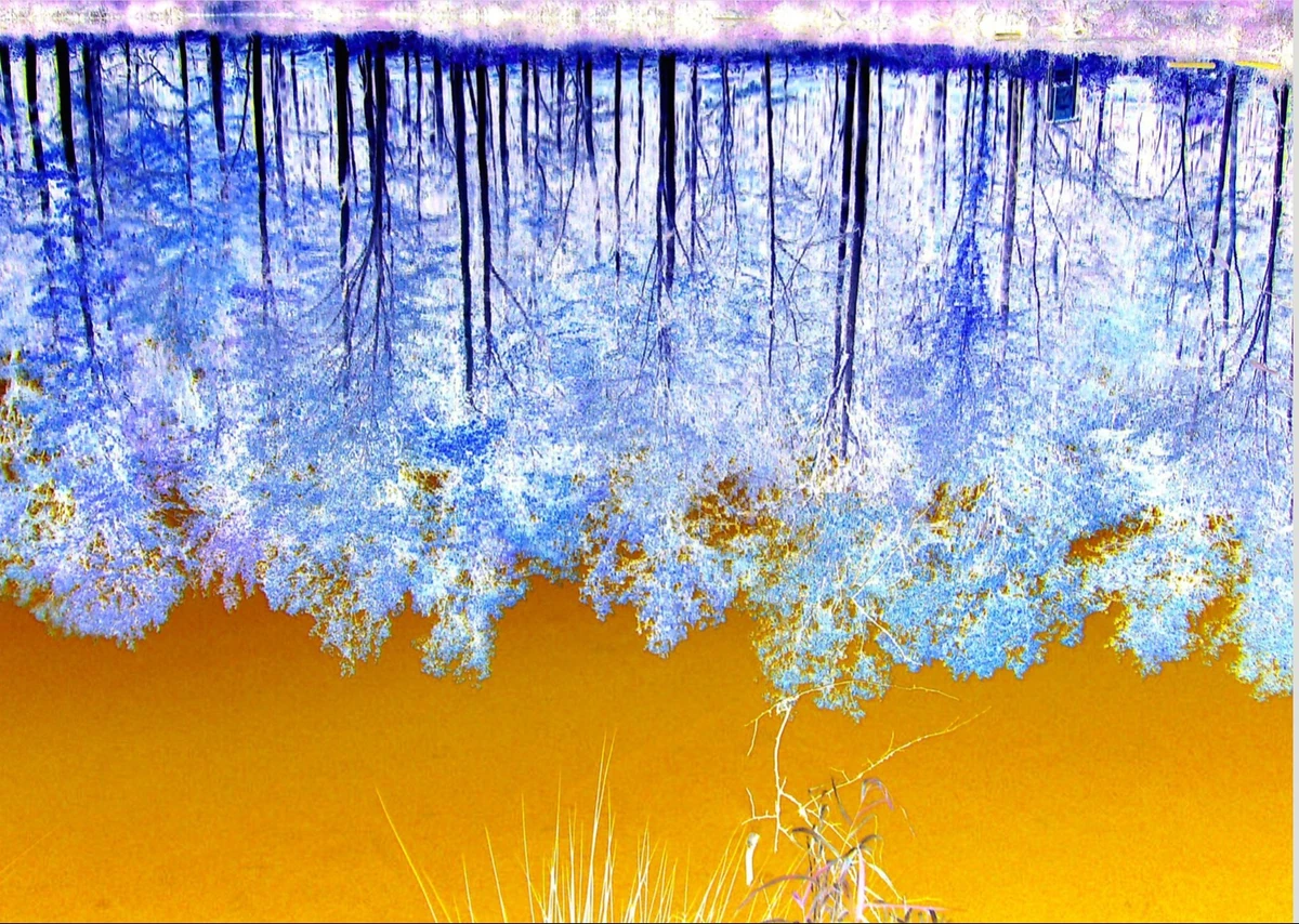 Line 201: “Out of Bounds!” | The reality files Wiki | Fandom