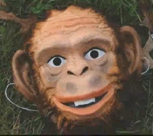 Monkey | The Recordings Wiki | Fandom