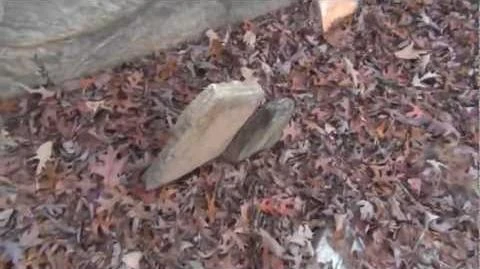 Recording 2 | The Recordings Wiki | Fandom