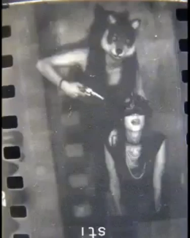 Wolf | The Recordings Wiki | Fandom