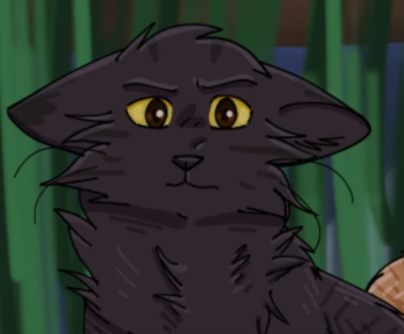 Crowflight | The Recruit Wiki | Fandom