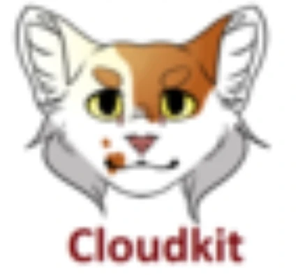 Cloudkit | The Recruit Wiki | Fandom