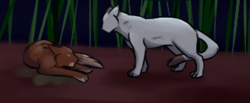 Swampfur | The Recruit Wiki | Fandom