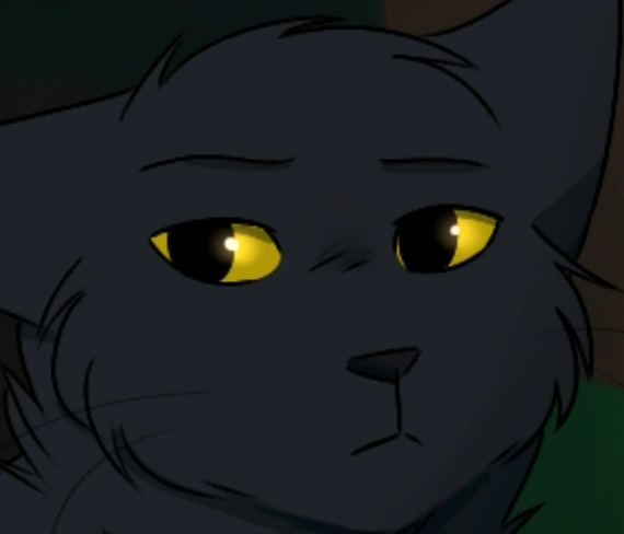 Nightpelt/Main Article | The Recruit Wiki | Fandom