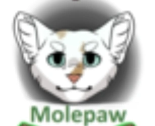Molepaw | The Recruit Wiki | Fandom
