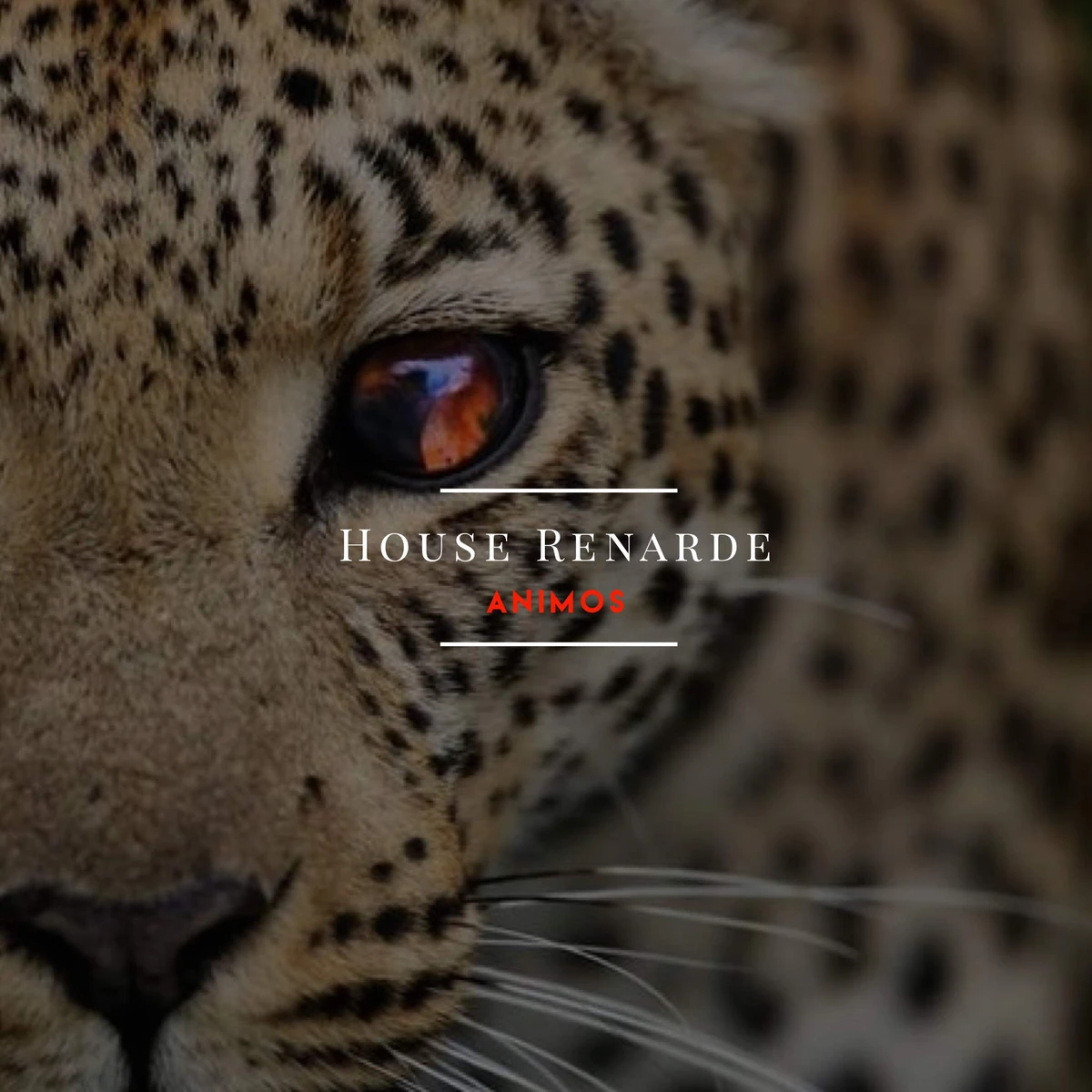 Renarde Line | Red Queen Wiki | Fandom