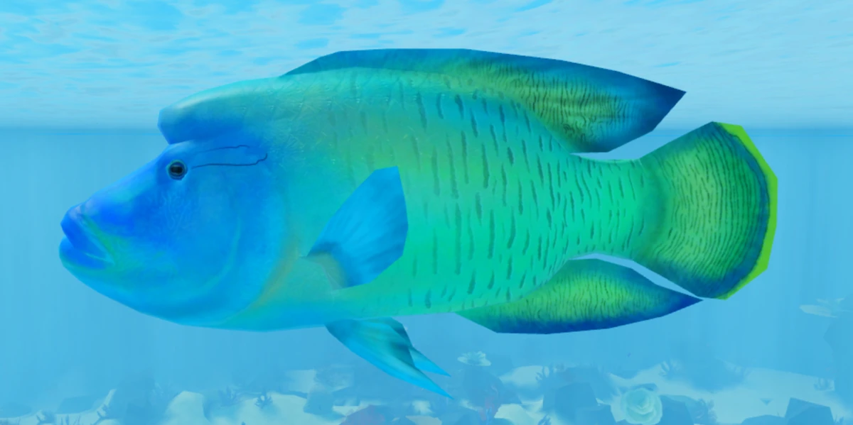 Rainbow parrotfish | The reef (ROBLOX) Wiki | Fandom