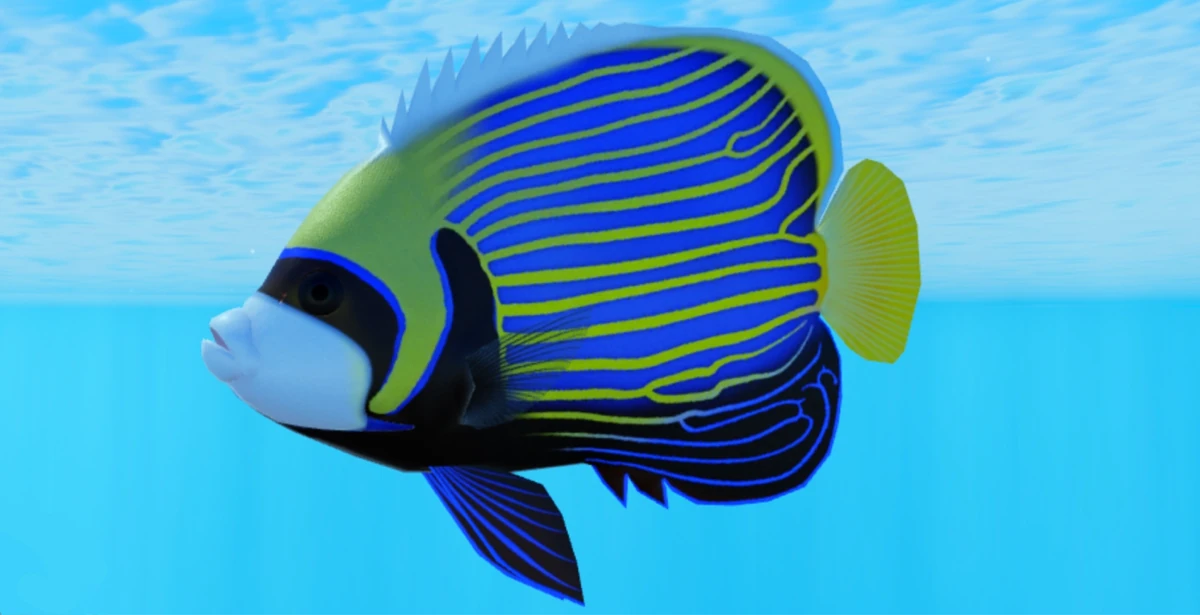 Emperor angelfish | The reef (ROBLOX) Wiki | Fandom