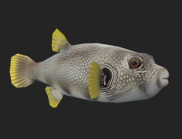 White-spotted puffer | The reef (ROBLOX) Wiki | Fandom