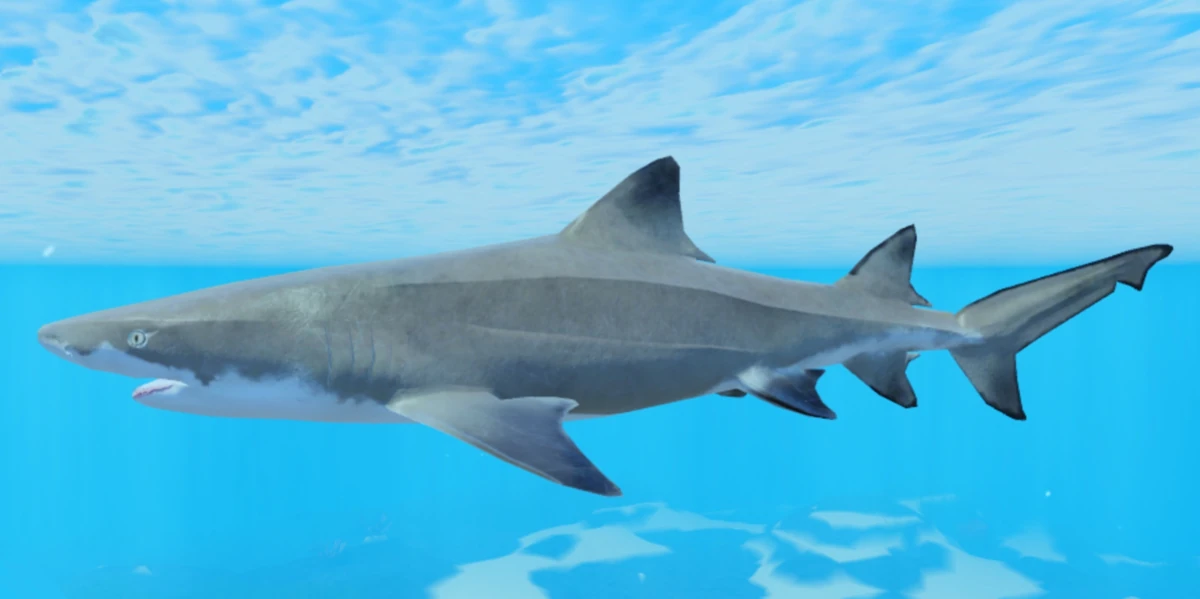 Lemon shark | The reef (ROBLOX) Wiki | Fandom