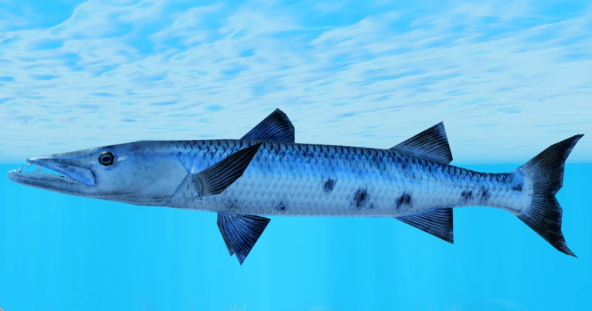 Great barracuda | The reef (ROBLOX) Wiki | Fandom