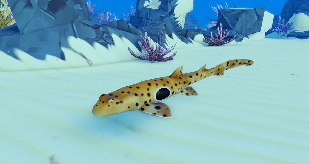 Epaulette Shark | The reef (ROBLOX) Wiki | Fandom